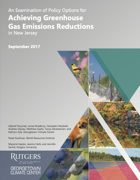An Examination of Policy Options for Achieving Greenhouse Gas Emissions ...