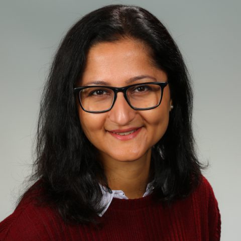 Pritpal Bamhrah | Center for Urban Policy Research - CUPR